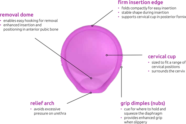 The diaphragm redesigned by women for women - Caya