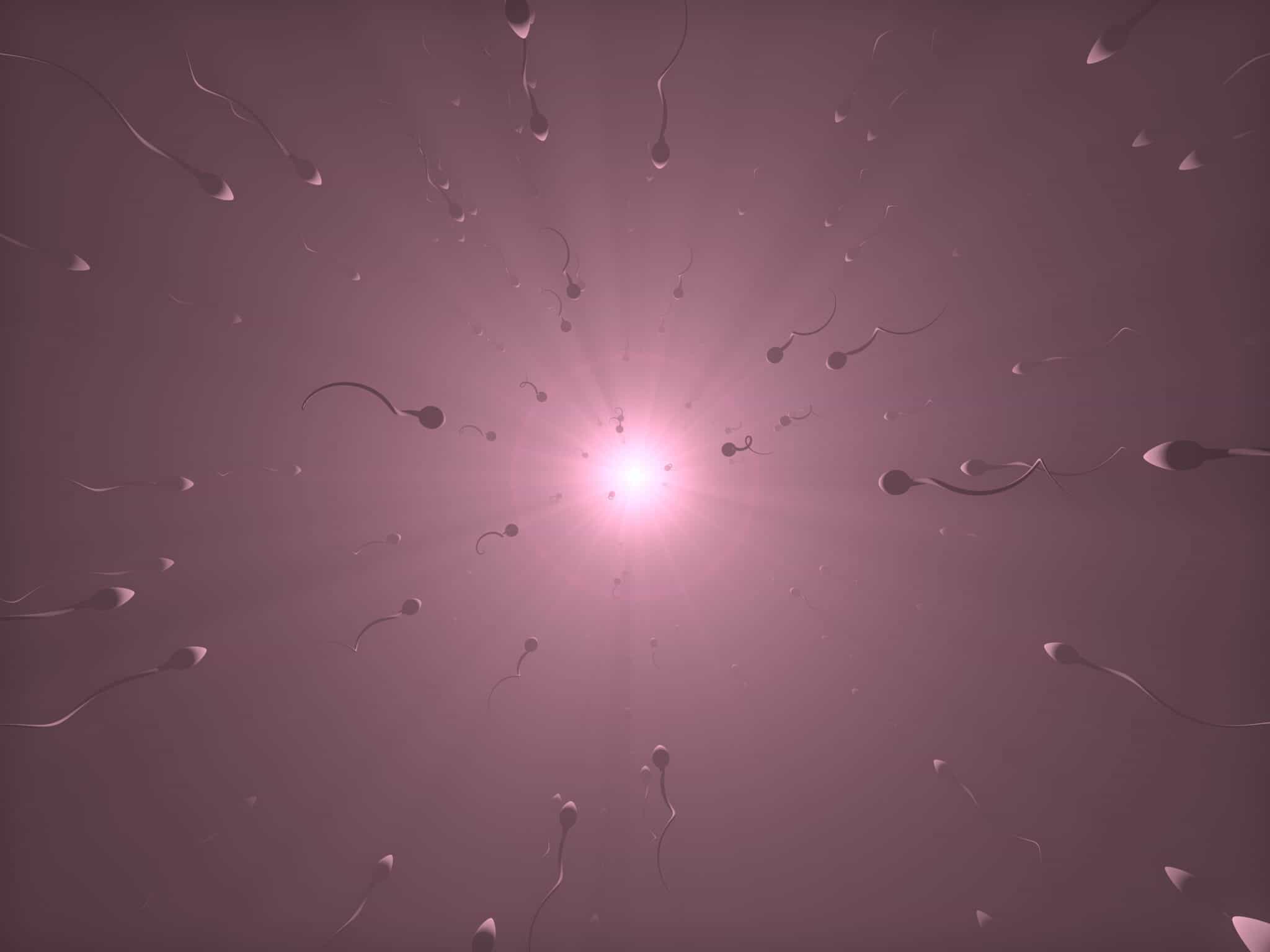 How does the Caya Diaphragm Work? - Caya