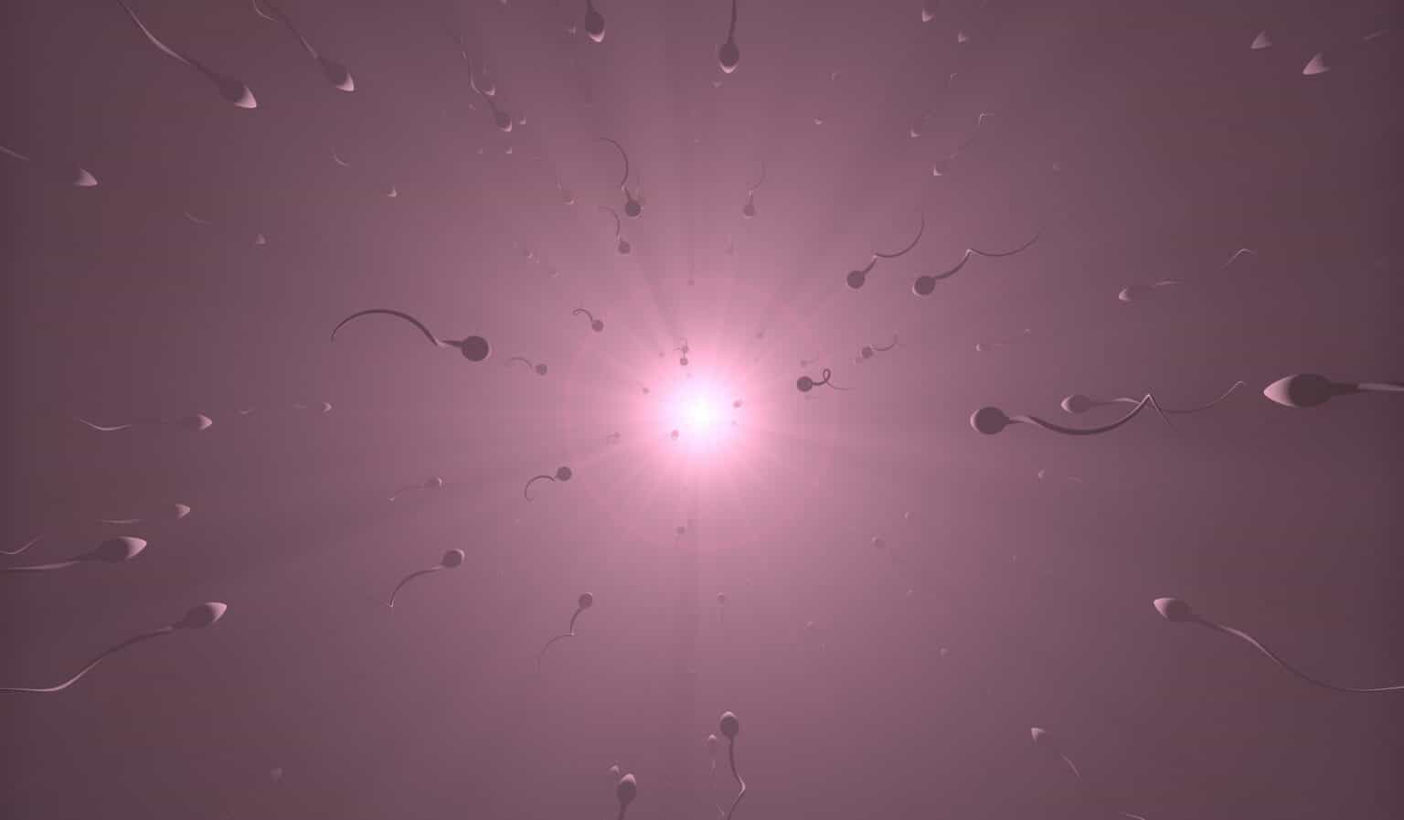 The Future of Contraception: What's New In Birth Control Options - Caya